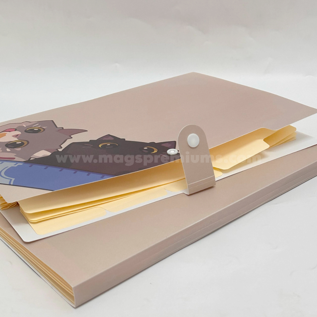 PP File Holder With Logo Printing | Custom File Folder | PP FIle Folder