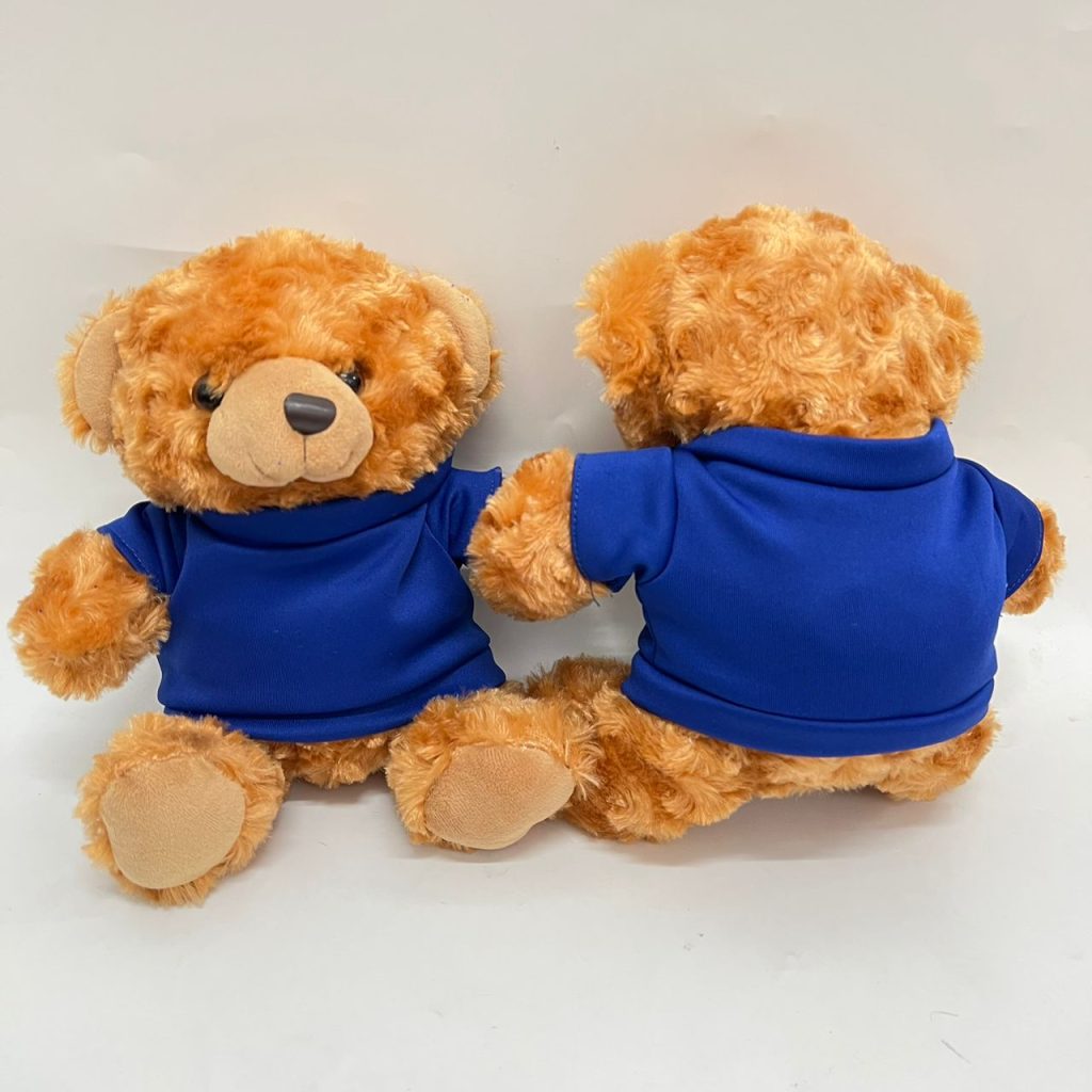 Custom Teddy Bear | Custom Made Teddy Bear Malaysia | Custom Teddy Bear ...