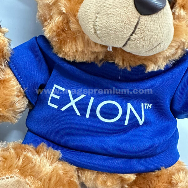 Teddy Bear with T Shirt | Plush Teddy Bear | Custom Teddy Bear
